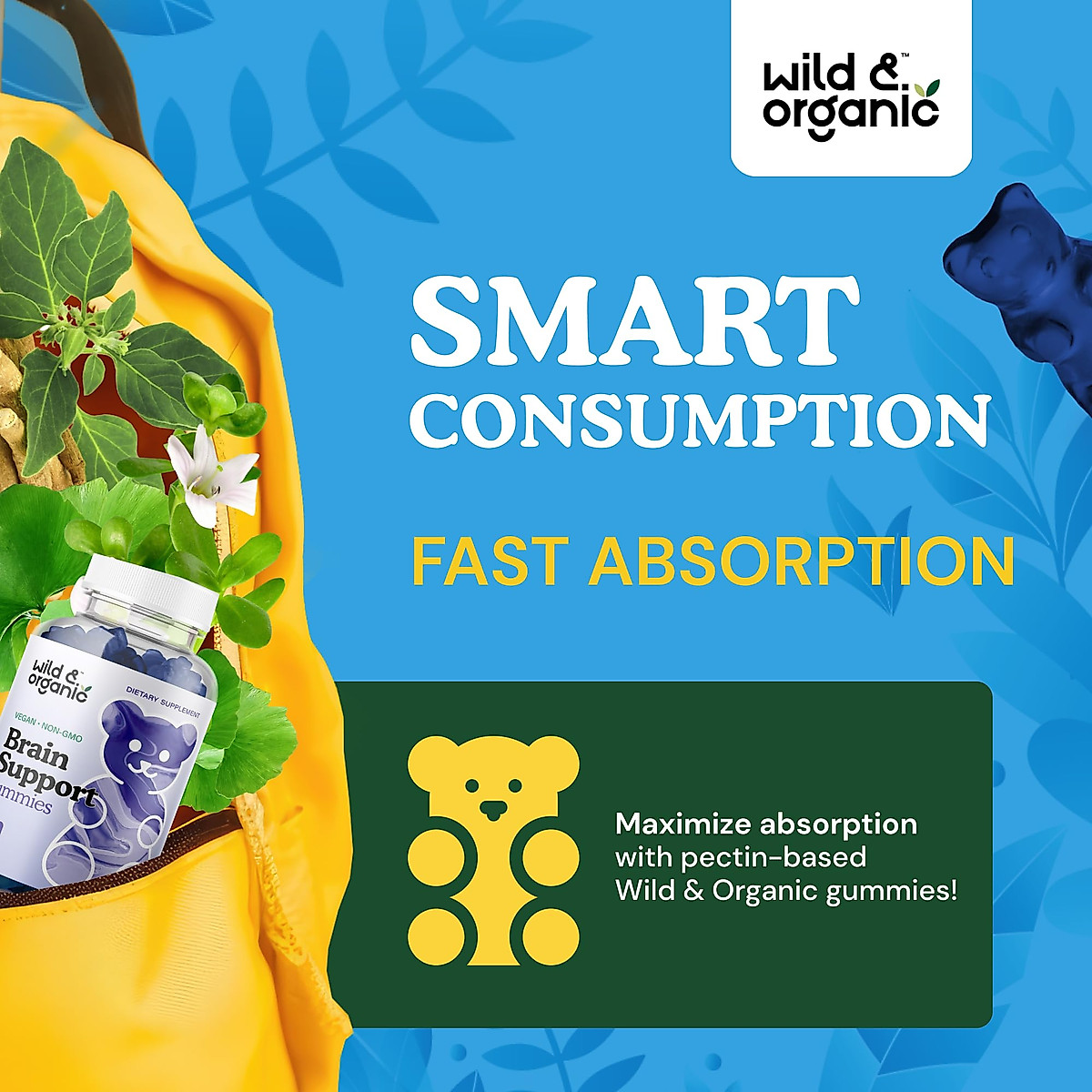 Wild & Organic Brain Support Gummies - Focus Supplement w/Ashwagandha Root, Vitamin B12, Ginkgo Biloba, Bacopa - Vegan Chews for Clarity & Productivity - 60 Brain Gummies