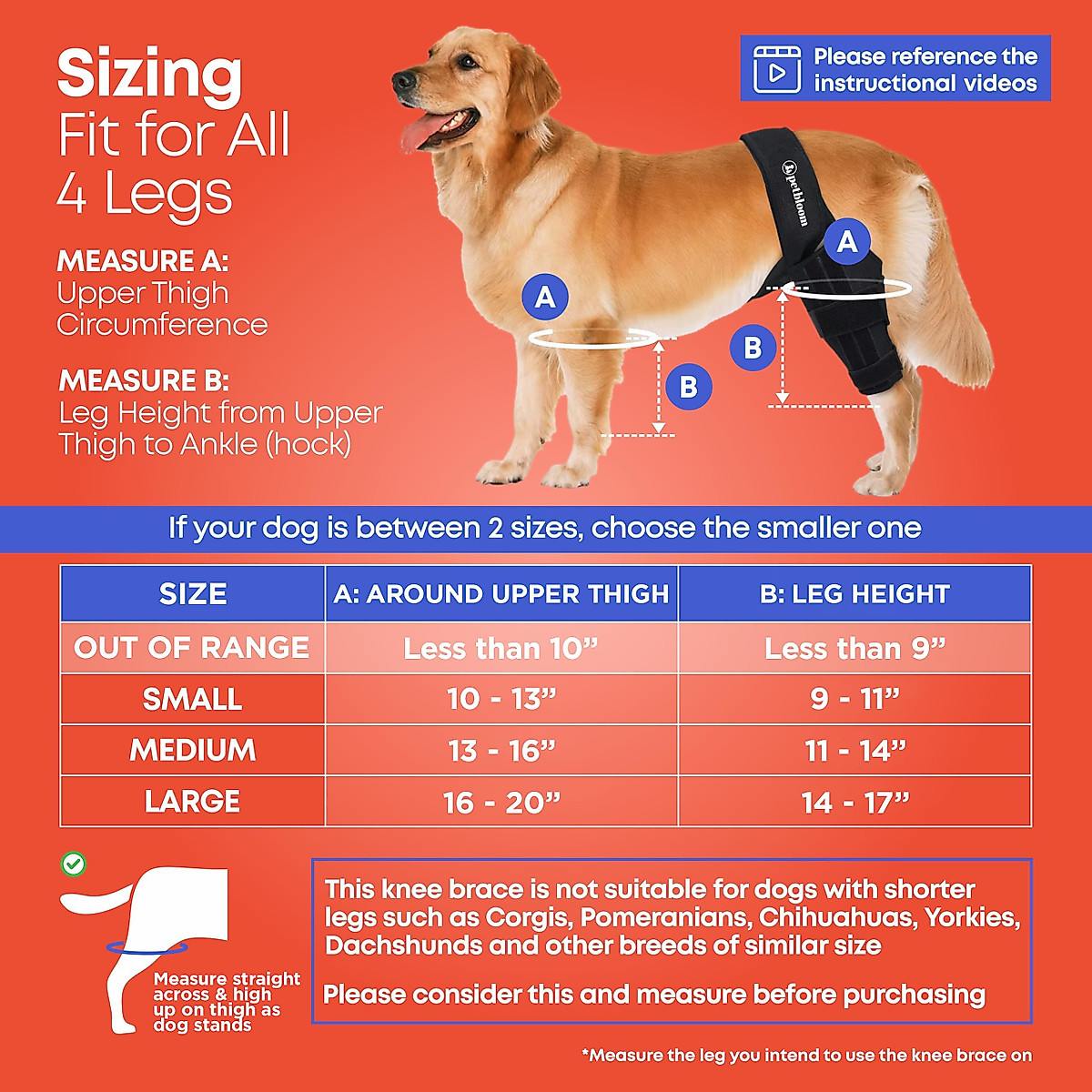 petbloom Dog Knee Brace for Torn ACL, Hip Dysplasia, Arthritis Pain Relief, Osteoarthritis, and Ligament Injuries, Adjustable Neoprene Support for Front or Hind Leg, Black (Large)