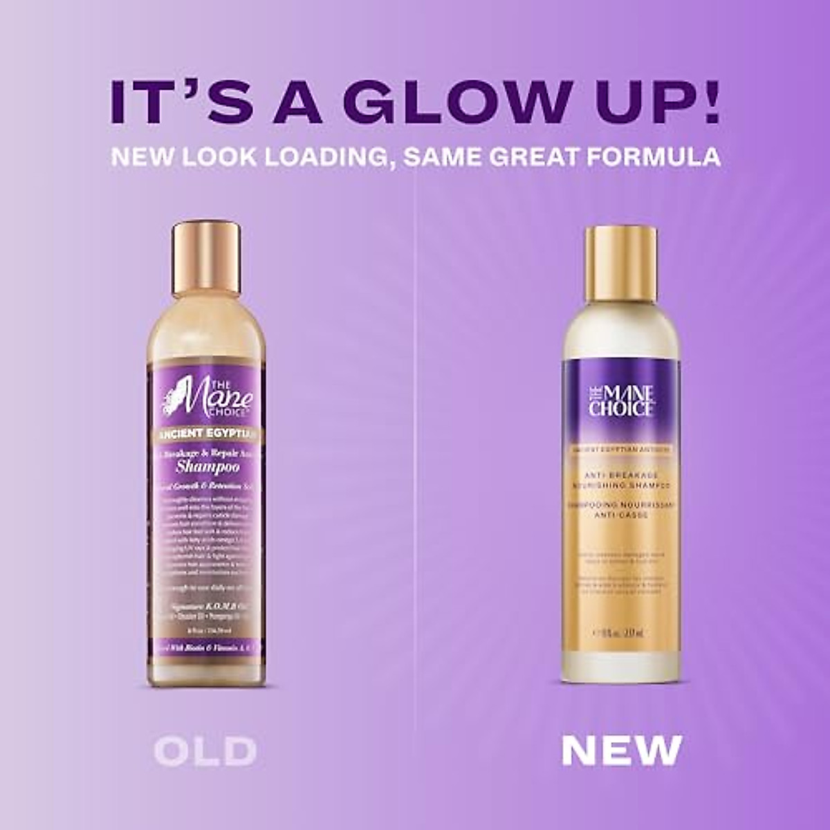 The Mane Choice Ancient Egyptian Anti Breakage Shampoo, 8 oz, Cleanses, Strengthens & Moisturizes with Biotin & Vitamins - Paraben & Sulfate Free Shampoo