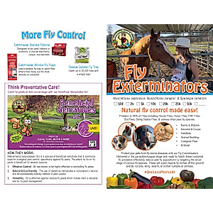 Fly Exterminator 50,000 NaturesGoodGuys