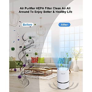 RIGOGLIOSO Air Purifier for Home with True HEPA Filters,Low Noise Portable Air Purifiers with Night Light,Desktop USB Air Cleaner