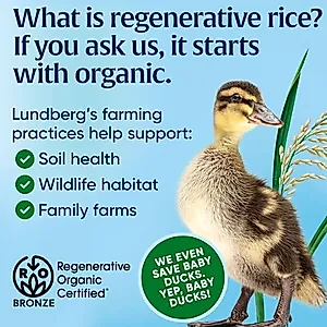 Lundberg Jasmine Rice, Long Grain White Rice - Non-Sticky, Fluffy Aromatic Rice, Sustainably Grown in California, Regenerative Organic Certified, 8 Oz