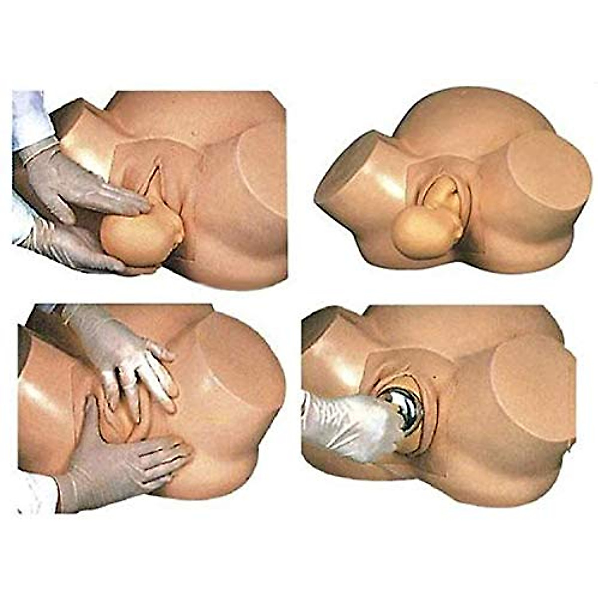 RLQ Childbirth Simulator Teaching Model, for Gynecology Teaching Medical Fertility Education and Study, Advanced Childbirth Training Wiht Baby Nursing Medical Training