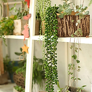 ROXXY GREEN DECOR Artificial String of Pearls Plant - 3 Pack Faux Fake Hanging Succulent Pearl Plants for Home, Kitchen, Office, Wedding, Garden or Craft Art Decor