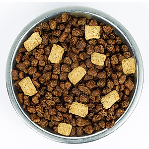 Stella & Chewy's Wild Red Dry Dog Food Raw Blend High Protein Grain & Legume Free Prairie Recipe, 3.5 lb. Bag