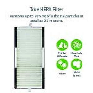 Hunter Fan Company HP100BLS Air Purifier, Black & Silver