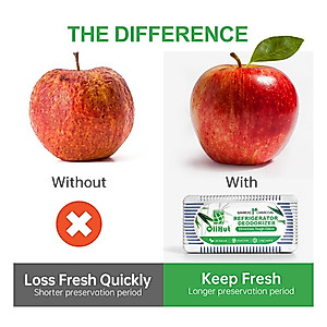 Fridge Deodorizer (5 Pack) Natural and Unscented Activated Charcoal Refrigerator Deodorizer - Fridge Odor Eliminator for Freezers, Coolers, and Lunch Boxes