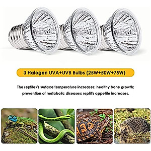 Reptile Heat Lamp, Basking Spot Lamp, UVA UVB Reptile Light Fixture with 360° Rotatable Clips and Dimmable Switch for Aquarium Turtle Lizard Snake Chameleons Amphibians (1 Fixture+3 Bulbs, 25/50/75W)