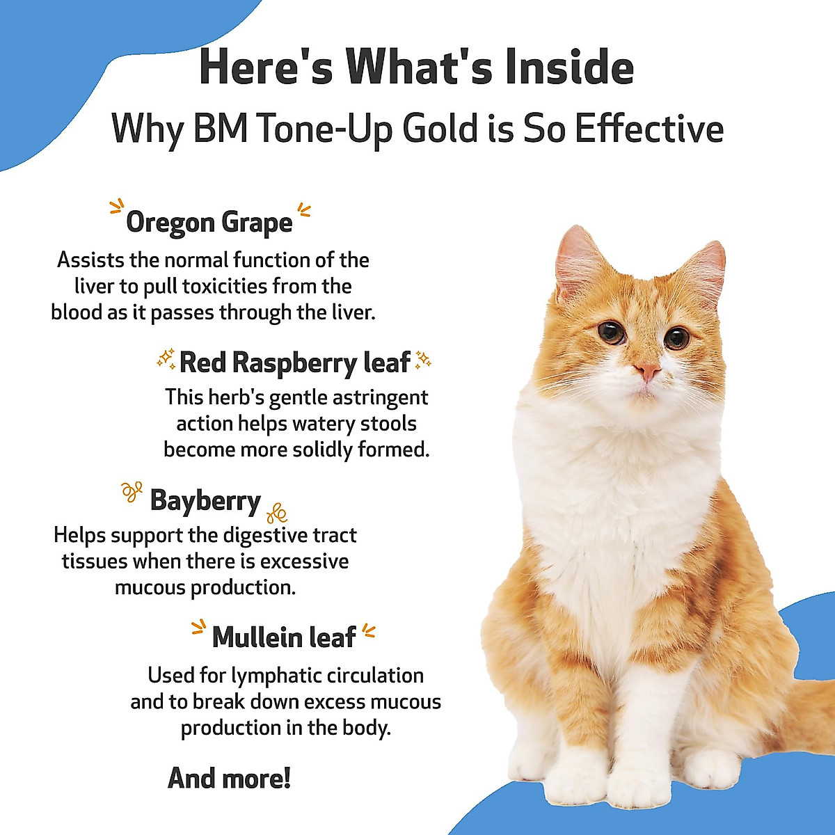 Pet Wellbeing BM Tone-Up Gold for Cats - Vet-Formulated - Diarrhea & Loose or Runny Stools - Natural Herbal Supplement 2 oz (59 ml)