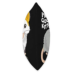 InGENIUS Fake Cat Ugly Critter Animal Gifts Fake Cat Rat Opossum Possum I'm A Good Kitty Funny Pets Throw Pillow, 16x16, Multicolor