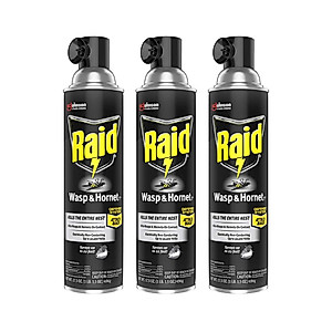 Raid Wasp and Hornet Killer, 17.5 OZ (Pack of 3)