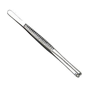 Labtron Russian Tissue Forceps - Stainless Steel, Medical Tool and Surgical Scissors, 6" Length, 2755