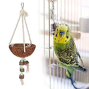 Parrot Coconut Shell Swing Parrot Swing Toy Bird Chewing Toy Nature Wood Stand Parrot Cage Bite Toys for Small Medium Birds