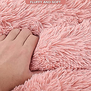 Lucky Monet Small Dog Beds 21" x 12", Fluffy Calming Dog Bed Washable Dog Crate Mat Plush Rectangle Pet Bed with Anti-Slip Backing, Long Plush Pet Beds for Dogs Cats Puppies