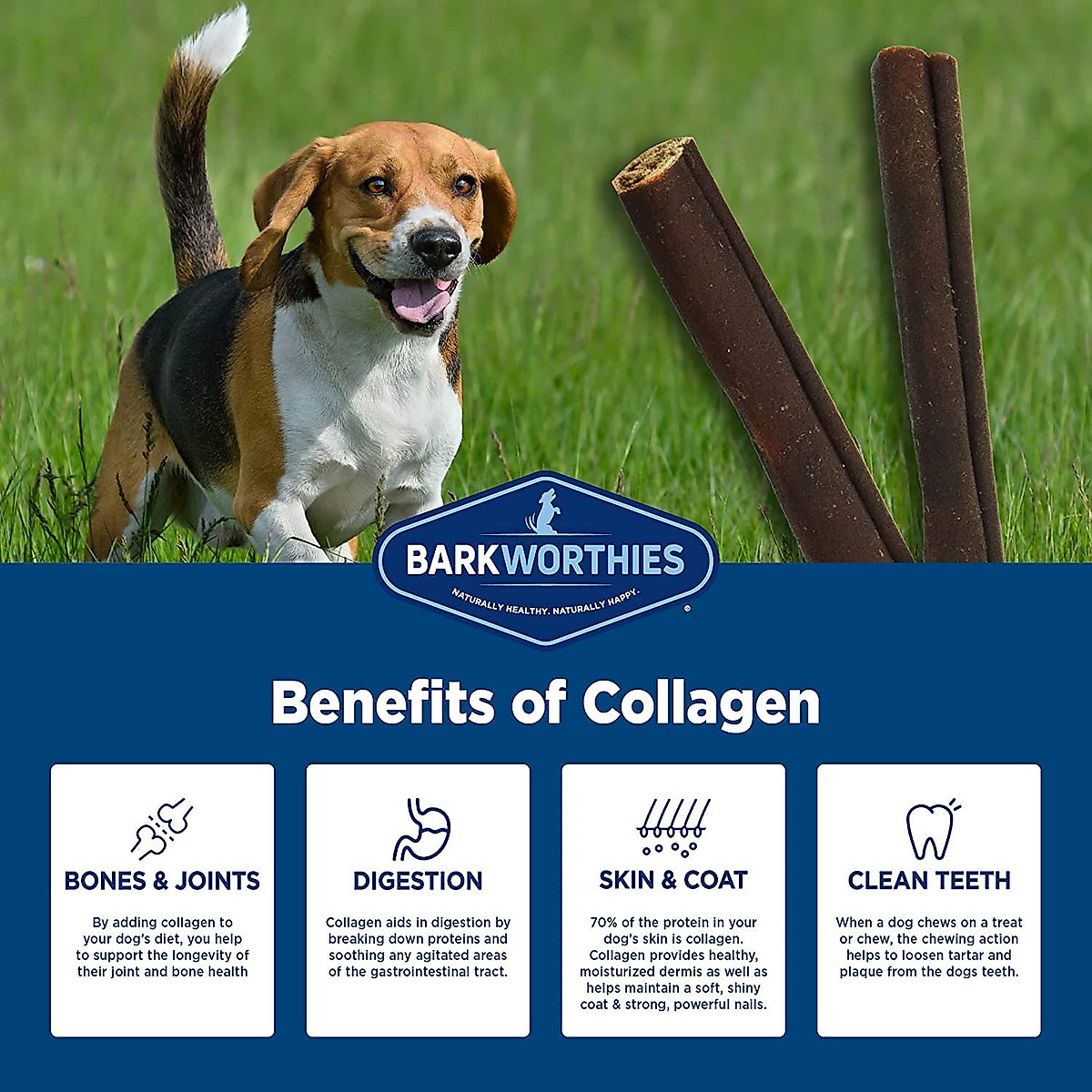 Barkworthies 95% Collagen Beef Sticks for Dogs - 2 Pack Odor Free Bully Sticks 6 inch - Grain Free, Rawhide Free, Natural Dog Chews for Puppy Teething, Dog Training, and Aggressive Chewer & E-Book