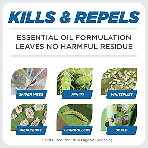 Earth's Ally Insect Control for Plants | Safe Outdoor & Indoor Plant Insecticide, Spider Mite, Aphid & Mealybug Killer - Effective Spray for Organic Garden & Household Plants, Ready-to-Use, 24oz