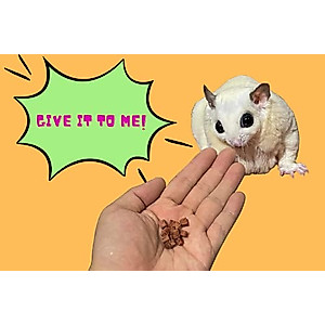 PETIVORE Premium Kobe Steak for Sugar Glider and Small Exotic Pet (Hamster, Squirrel, Chinchillas, Marmoset) Happy Treats, Snacks and Food (50g)