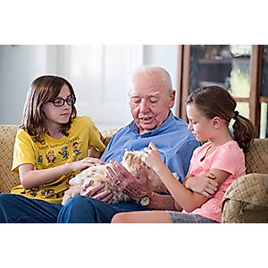 JOY FOR ALL Companion Pet for Seniors - Lifelike Animatronic Cat - Realistic Soft-Touch Fur & Purring - Therapy Stuffed Animal - Toy for Alzheimer's & Dementia - Orange Tabby