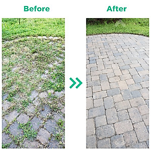 Lilyvane Crack Weeder, Manual Crevice Weeding Tool Weed Puller with 29” Handle for Sidewalk Paver Deck Boards, Crack Weeder Crevice Weeding Tool Metal Handle