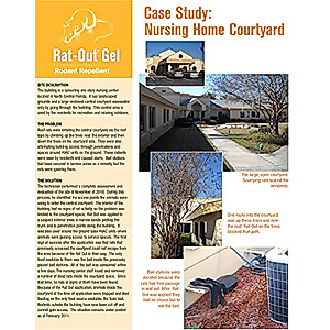 Bird Barrier Rat Out Gel Rat and Mouse Repellent – 3-Pack 1oz Rodent Repellent with Garlic Oil and White Pepper – Safe and Humane Formula – No Mess, Easy to Clean and Effective