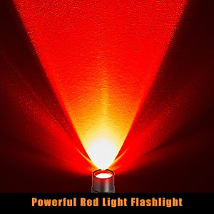 Tuanse 4 Pcs Red Light Flashlight Red LED Flashlight Red Light Pen Light Flashlight Super Bright Red Flashlight Red Torch for Astronomy, Aviation, Night Observation and More