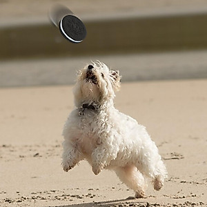 Comfych Dog Chew Squeaky Toy Pet Puppy Biscuit Cookie Fetch Teeth Funny Play Toy, black