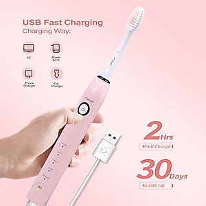 Pallus Electric Toothbrush, Sonic Toothbrush for Adults with 5 Dupont Bursh Heads, Ultra Cleaning with 37,000 VPM 5 Modes 2 Hours Charging for 30 Days Use,Pink Rechargeable Power Toothbrush