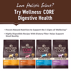 Holistic Select Natural Grain Free Dry Dog Food, Adult & Puppy Salmon, Anchovy & Sardine Recipe, 4-Pound Bag