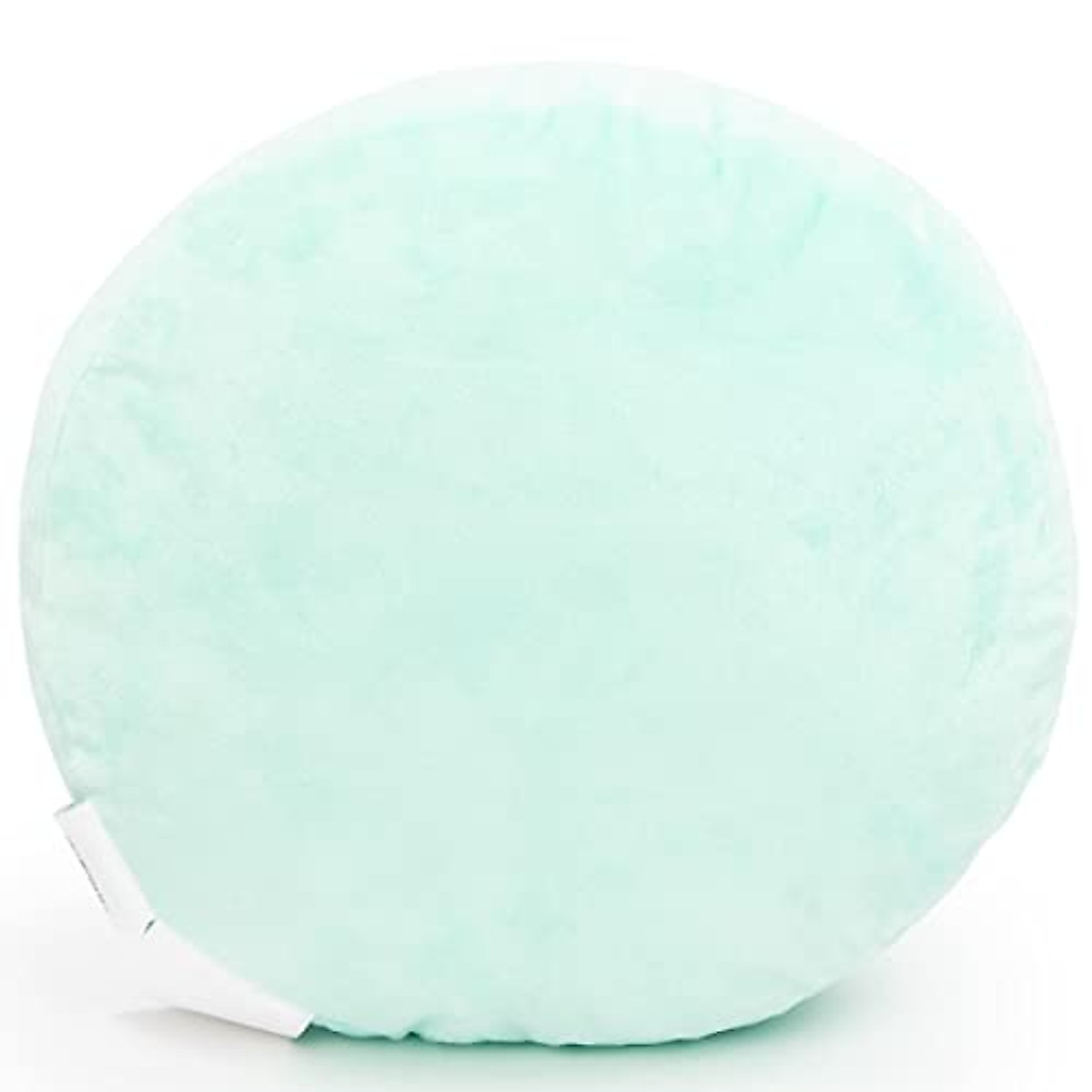 Jay Franco Bluey Shaped Decorative Pillow - Kids Super Soft Throw Plush Pillow - Measures 13 Inches (Official Bluey Product)