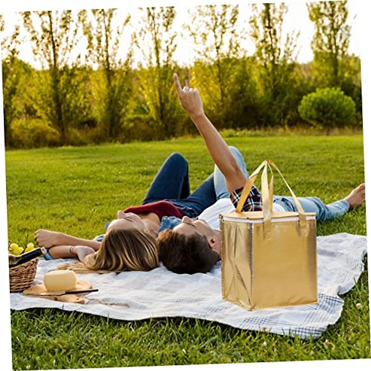 NOLITOY 4pcs Storage Hiking Tote Take Cake Thermal Practical Take-out Baking Delivery Picnic Back Zipper Heat Insulation Item Pizza Insulated Small Warmer Bags Cooler Aging Out