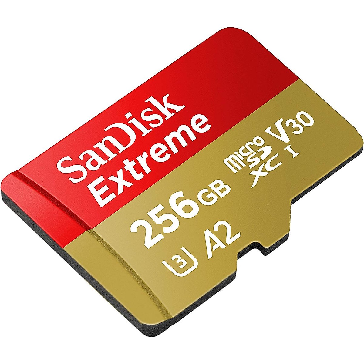 SanDisk Extreme 256GB MicroSD Card for GoPro Works with GoPro Hero 10 Black Camera UHS-1 U3 / V30 A2 4K Class 10 SDSQXA1-256G-GN6MN Bundle with 1 Everything But Stromboli Micro SD Memory Card Reader