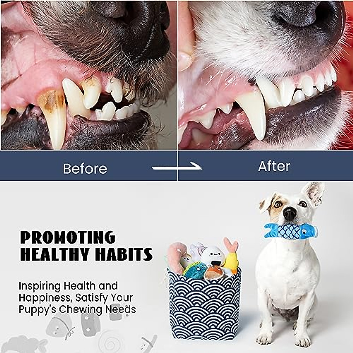 Nocciola 10 PCS Sushi Small Dog Toys to Keep Them Busy, Cute Stuffed Puppy Toys with Bag, Plush Dog Squeaky Toy for Small to Medium Dog, Doggie Birthday Gifts