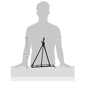 Topeak BabySeat II Disc Mount Bike Rack for 29-Inch Wheels