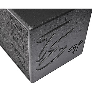 AER Tommy Emmanuel Signature Compact 60/3 60W 1x8 Acoustic Guitar Combo Amp