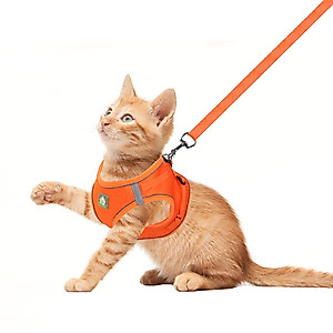 FEimaX Dog Harness and Leash Set, No Pull Breathable Soft Mesh Puppy Vest Harness Reflective Adjustable Pet Harnesses for Small Medium Dogs and Cats - Outdoor Easy Control for Walking