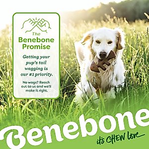 Benebone Small 4-Pack Dog Chew Toys for Aggressive Chewers, Made in USA, 30lbs and Under