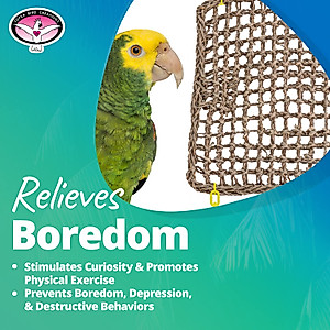 Super Bird Creations SB50006 Seagrass Mat for Cage Decor, Pet Enrichment and Boredom Relief - Versatile Toy-Making Base - Ideal for Parrots - Small to Large Birds & Reptiles - 12"x14" (3 Pack)