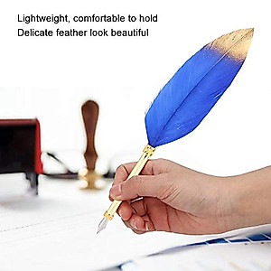 URRNDD Calligraphy Pen Set Retro Classical Style Feather Pen Kit Metal Calligraphic Pen Student Instruction Gift with Storage Box 5 Pen Nibs(Blue)
