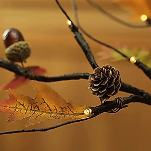 Monsense 24 Inch Artificial Fall Oak Maple Tree, Lighted Fall Decorations for Home, Fall Centerpieces for Tables, Perfect for Thanksgiving, Autumn, Wedding and Halloween Decor