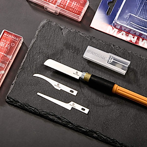 Saw Blades Replacement Mini Hobby Craft Saw Blade Micro Knife Saw Blades with Plastic Storage Box for Hand Cutting Tree Limbs and Branches (12 Pieces)