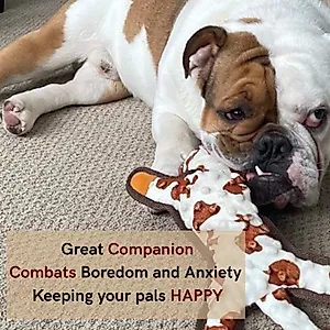 Steel Dog Treaters Pineapple, Dog Toy for Boredom and Stimulation, Treat Dispensing, Interactive Dog Puzzle Toys for Small, Medium, Large Breed