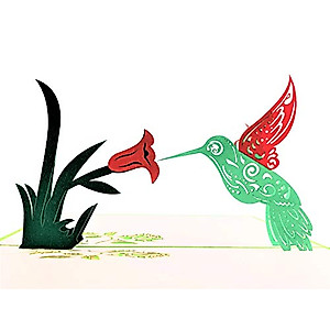 iGifts And Cards Season’s Greetings Hummingbird 3D Pop Up Greeting Card – Merry Christmas, Happy Holidays, Feliz Navidad, Joy, Hope, Unique, Special
