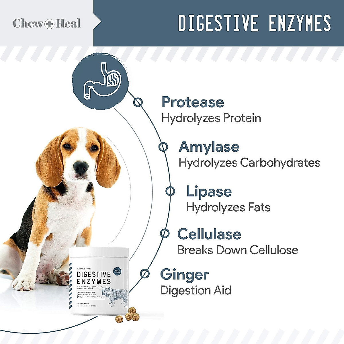 Digestive Enzymes and Probiotics and Cranberry UTI Support for Dogs - Supports Healthy Digestive Tract, Helps Nutrient Absorption - Healthy Urinary Tract and Bladder Function - 120 Soft Chews Each