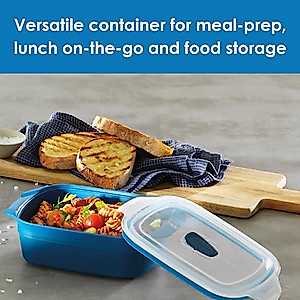 Décor Delish Oblong 1L |Food Storage Container |Leakproof| Ideal for Meal Prep| BPA Free|Dishwasher, Freezer & Microwave Safe, Blue