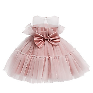 Nileafes Toddler Formal Dress Tulle Fluffy Dresses Baby Girls Princess Dress Size90 (1-2 Years,766 Pink-N)