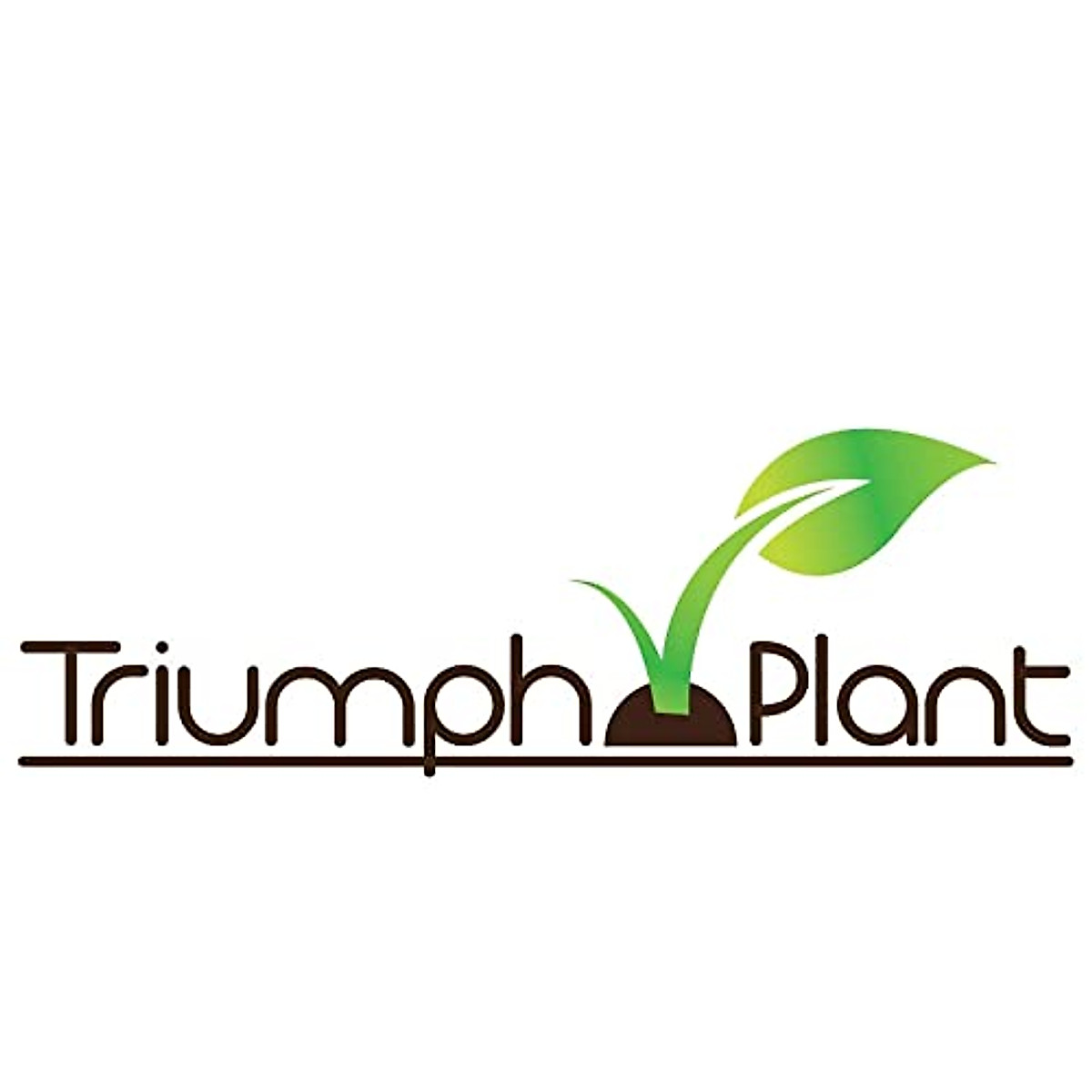 Garden State Parkway Wildflower Seeds - Annuals - Attracts Birds and Butterflies