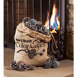 Plow & Hearth Fireplace Color Changing Pine Cones Wood Burning Accessories