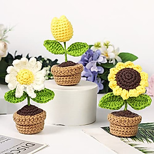 PP OPOUNT Beginner Crochet Kit - 3 PCS Potted Plants, Complete Crochet Kit for Beginners, Starter Pack for Adults and Kids with Step-by-Step Instructions and Video Tutorials