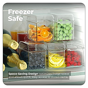 Prime Home Direct Ice Chilled Condiment Caddy | 5 Containers & Lids | Hosting Party Supplies Serving Tray Platter | Buffet, Food Server, Fruit, Garnish, Mimosa, Salad, Taco Bar Accessories Organizer