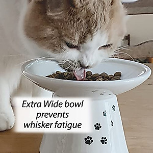 Necoichi Extra Wide Raised Cat Food Bowl (Cat, Extra Wide)